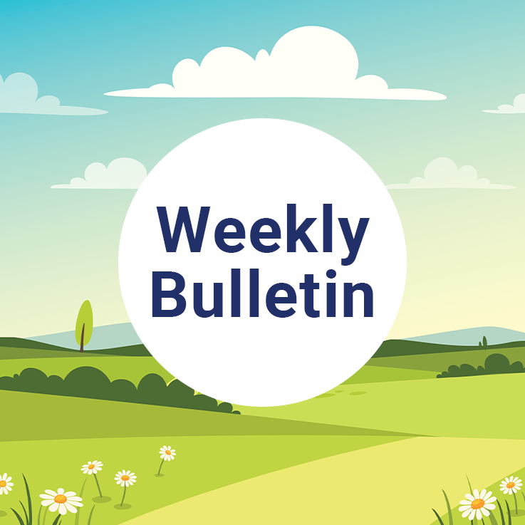 Home - Shincliffe CE Primary School